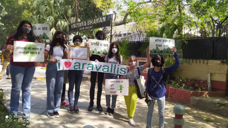 The Aravalli Hills: India’s Oldest Mountain Range and Its Fight for ...